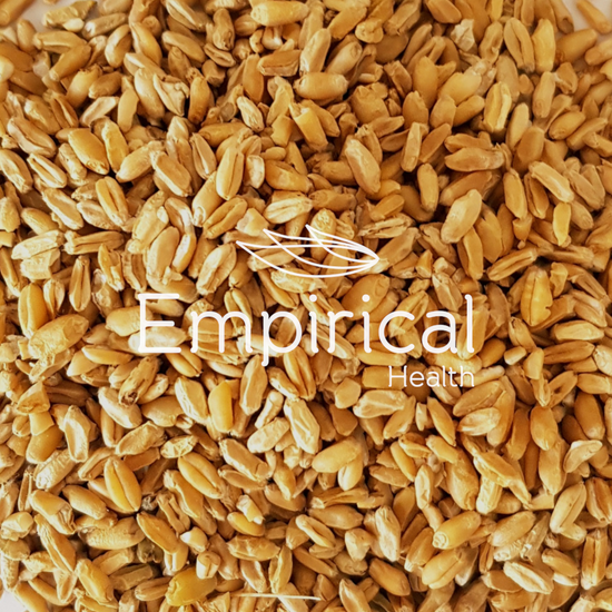 Fu Pen Zi Chinese Medicine Herb Wholesale Australia Highest Quality ...